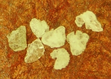 Base material RISHO KOGYO CO., LTD. Base material Insulating material ...